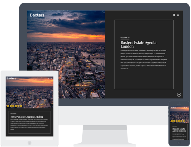 Available Themes | Zoopla Websites for Estate Agents